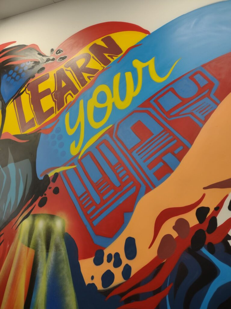 6 Week Term Program – Indie School